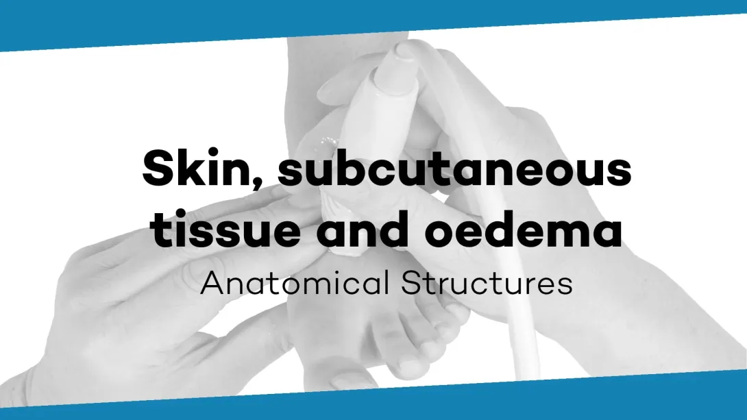 MSK US Foot and Ankle BachelorClass | 123sonography