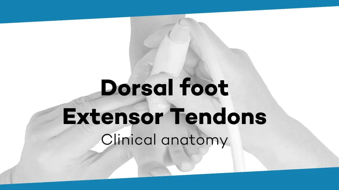 MSK US Foot and Ankle BachelorClass | 123sonography