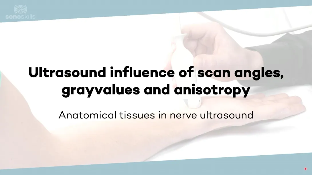 Neuromuscular Ultrasound Essentials | 123sonography